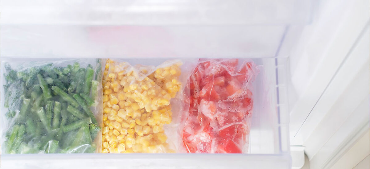 Walk in Freezer Maintenance & Repairs Services – Electrolux Service ...